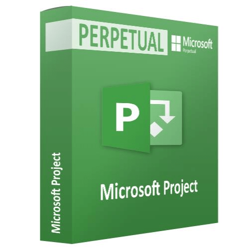 Microsoft Project Server 2019 - Perpetual License – FirstShop